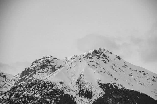 Grayscale Image Converter | Free Online Tool